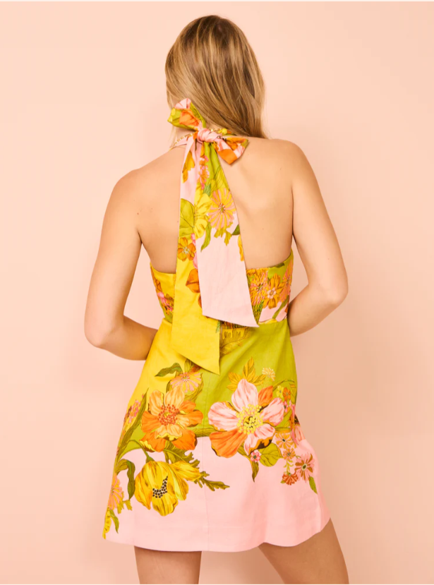 Alemais Silas Halter Mini Dress – mitylene